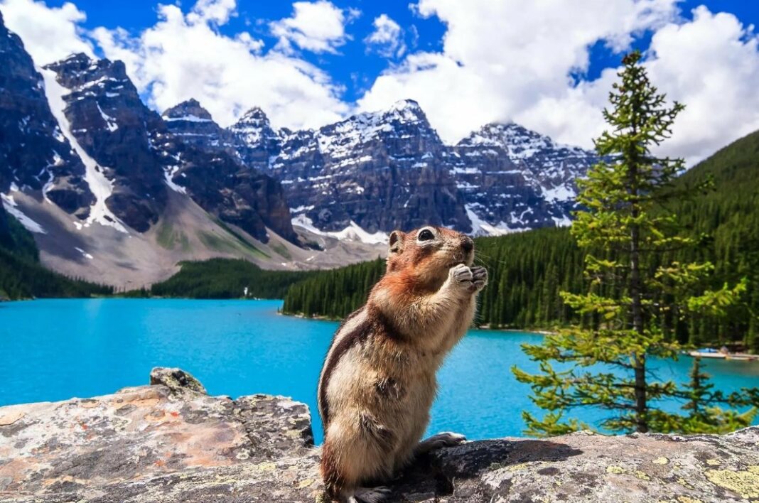 Banff National Park, Canada - information, where to go, what to see