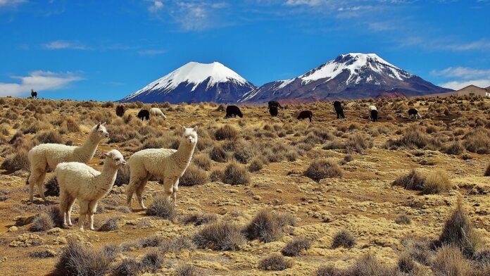 Andes - where are the mountains, how and when were they formed, highest ...